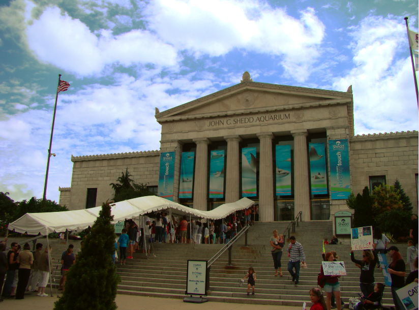 The Shedd Aquarium, Museum Campus, Chicago, Illinois, USA Destinations ...